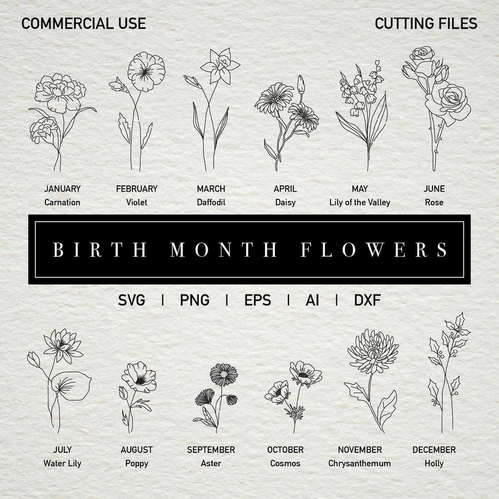 Birth Month Flower SVG Bundle, Cricut, PNG (digital Download) - Etsy