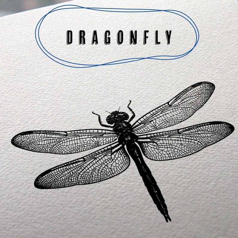 Dragonfly SVG Bundle: Insect Clipart, Cricut Cut Files (digital ...
