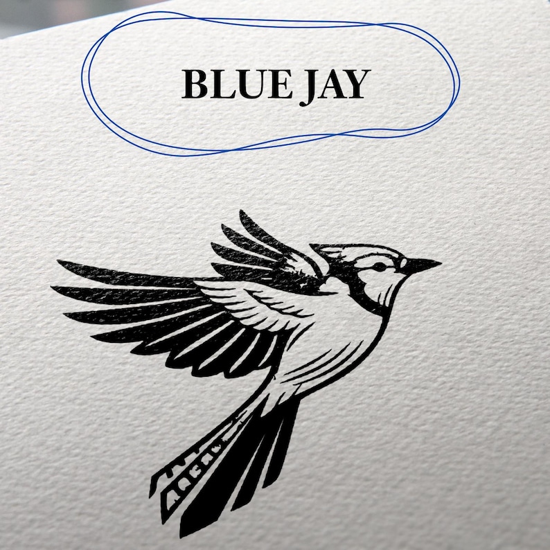 Geai bleu - Lot Clipart vectoriel | 15 illustrations de style gravure (téléchargement numérique ...