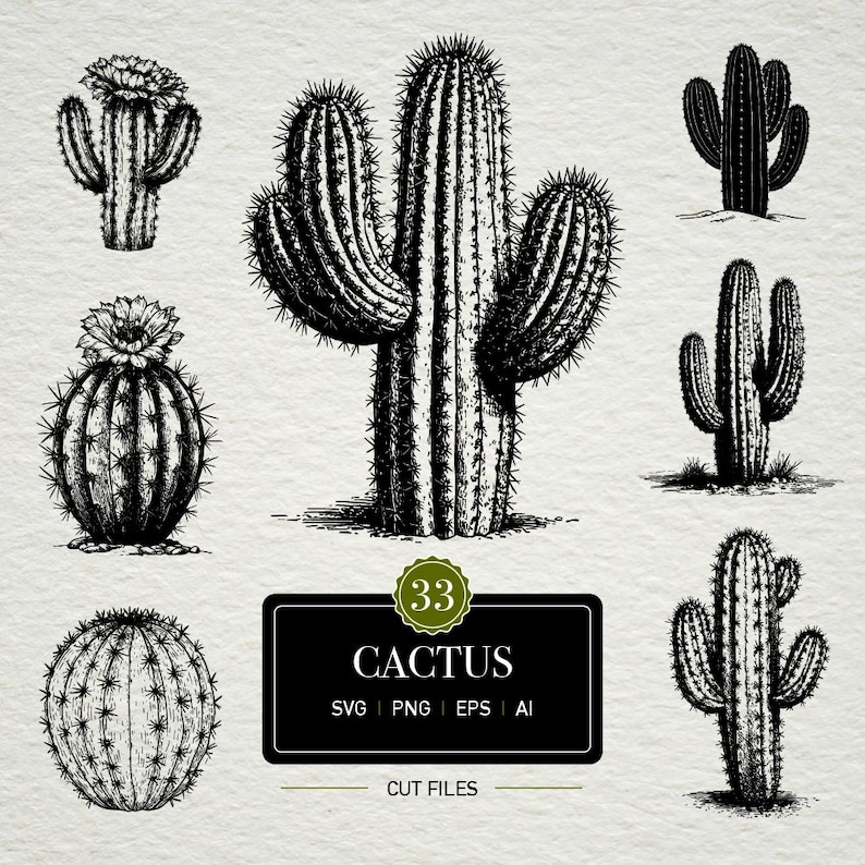 Vintage Cactus SVG Bundle: 33 Retro Desert Designs (digital Download ...