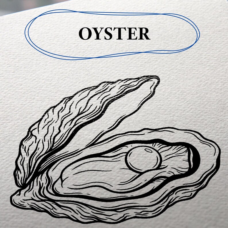 Oyster SVG Bundle | Vintage Seafood Clipart, Nautical Shell PNG ...