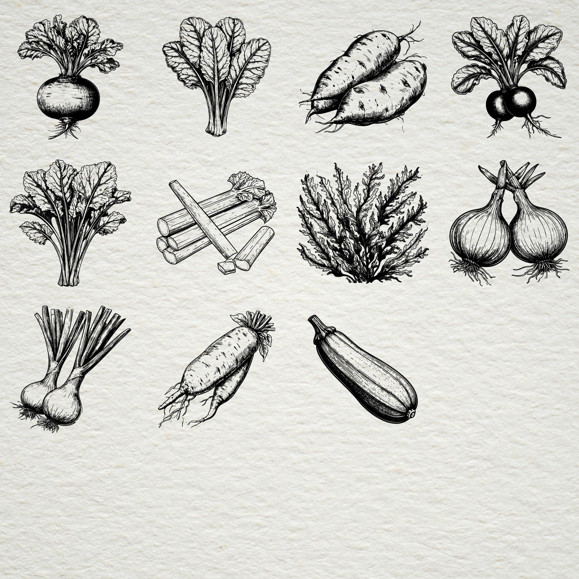 55 Vegetable Illustrations SVG Bundle: Vegan Food Clipart (digital ...