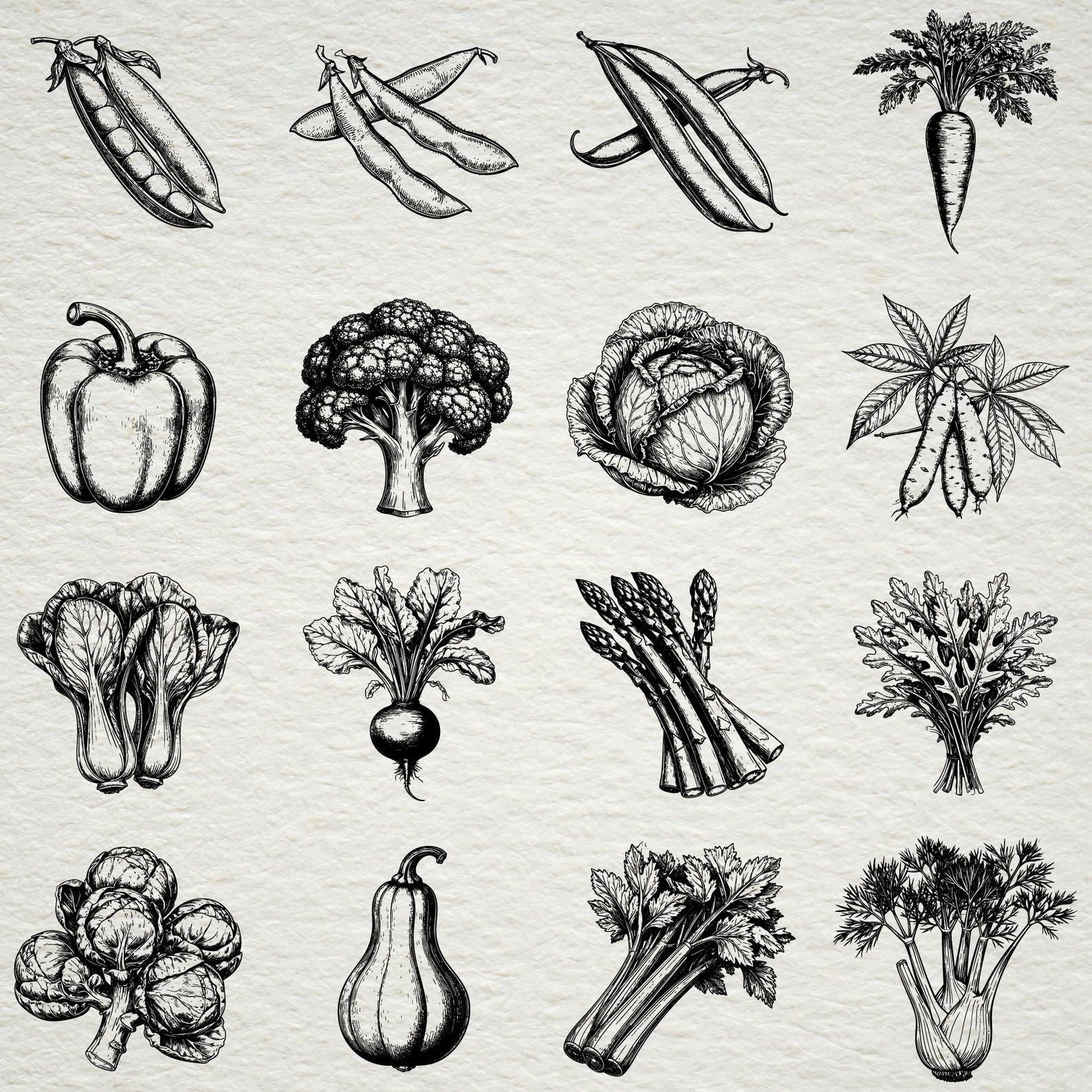 55 Vegetable Illustrations SVG Bundle: Vegan Food Clipart (digital ...
