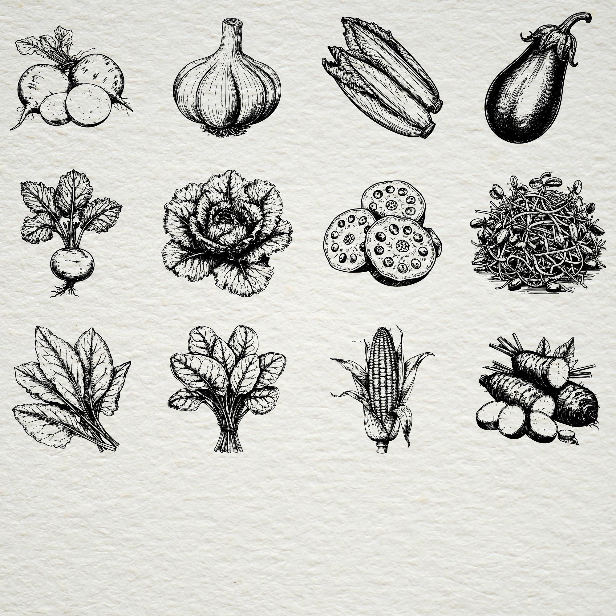 55 Vegetable Illustrations SVG Bundle: Vegan Food Clipart (digital ...