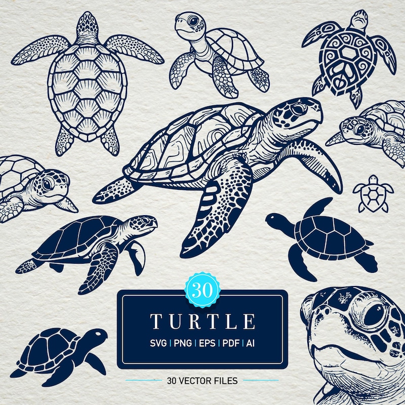 Sea Turtle Svg - Etsy