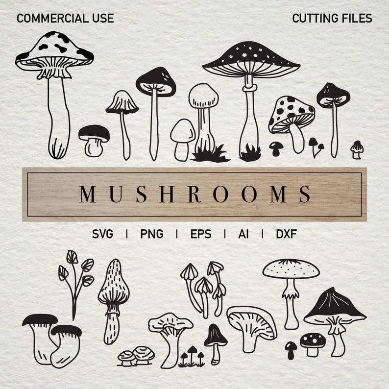 Mushrooms SVG Bundle SVG Cut Files for Cricut Home Decor PNG Digital ...