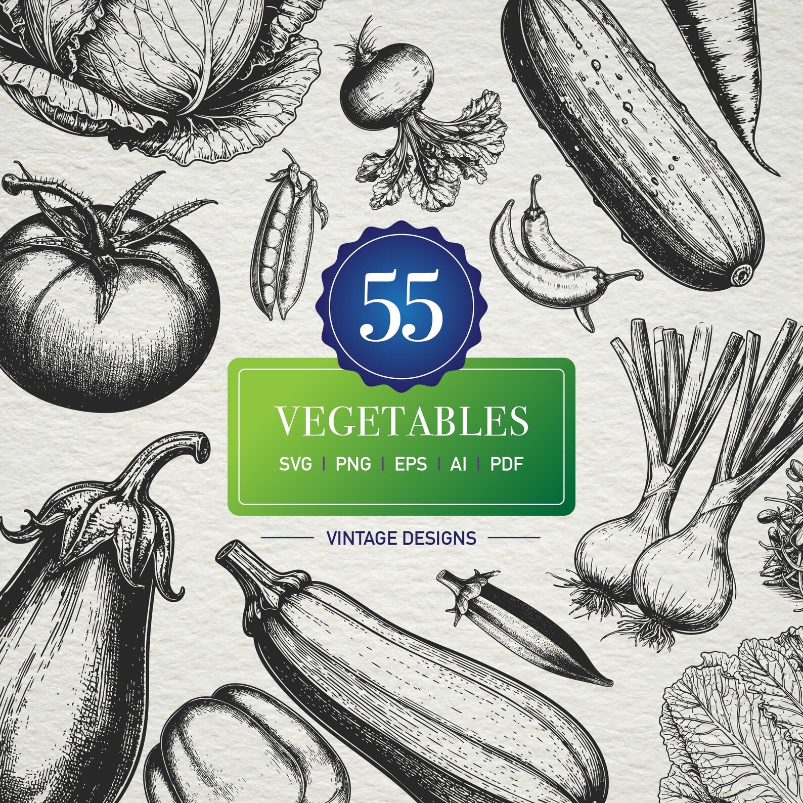 55 Vegetable Illustrations SVG Bundle: Vegan Food Clipart (digital ...