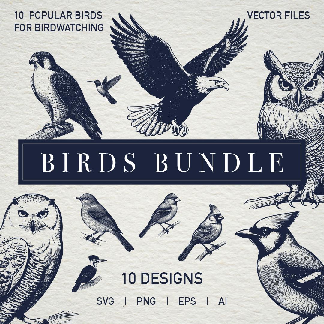 Vintage Birds SVG Bundle SVG Cut Files Cricut PNG Birdwatching Sketch ...
