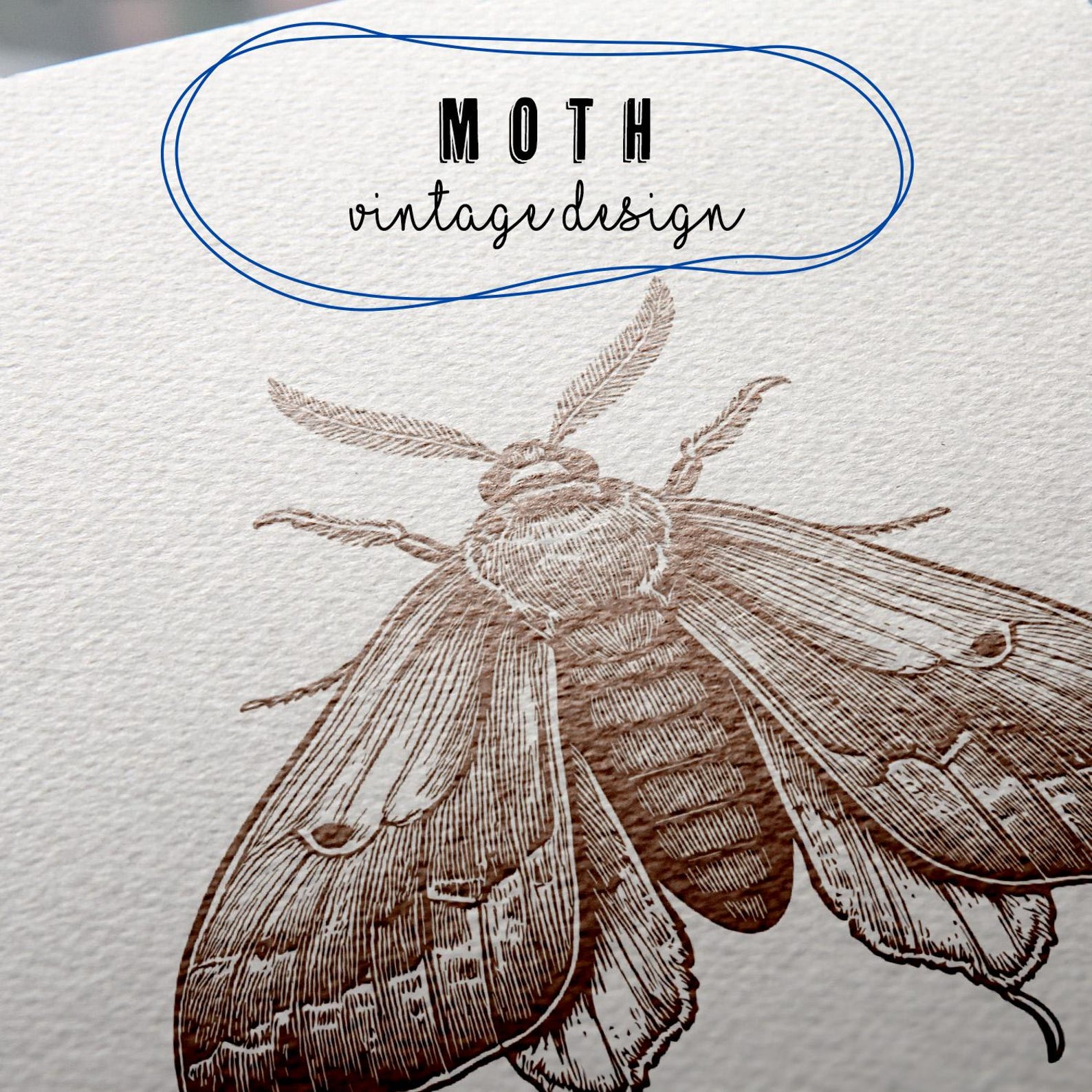 Moth SVG Bundle: Witchcraft Celestial Moth Clipart (digital Download ...