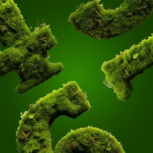 Moss Numbers Bundle Moss Themed Font Printable Moss Numbers DTF PNG ...