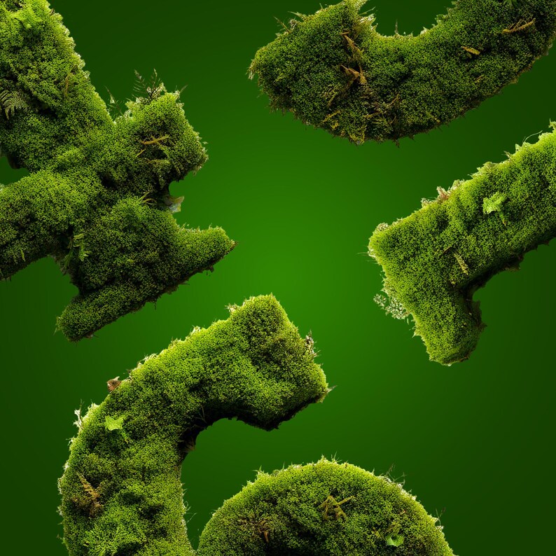 Moss Numbers Bundle Moss Themed Font Printable Moss Numbers DTF PNG ...