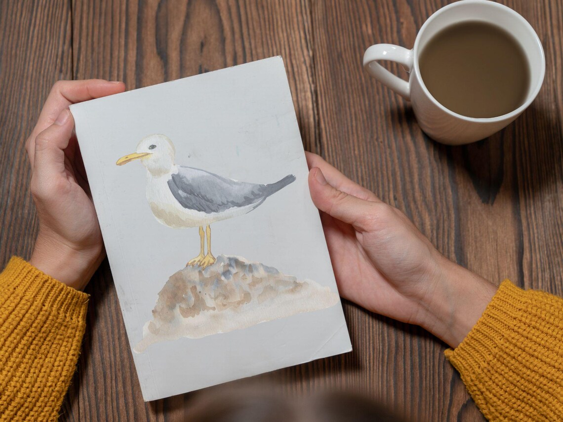 Seagull SVG Bundle, Seagull PNG Bundle, Seagull Clipart, Seagull ...