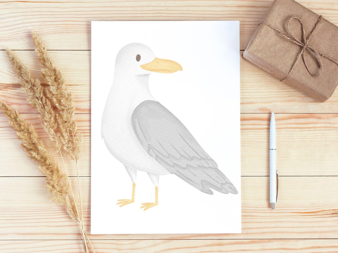 Seagull SVG Bundle, Seagull PNG Bundle, Seagull Clipart, Seagull ...