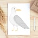 Seagull SVG Bundle, Seagull PNG Bundle, Seagull Clipart, Seagull ...