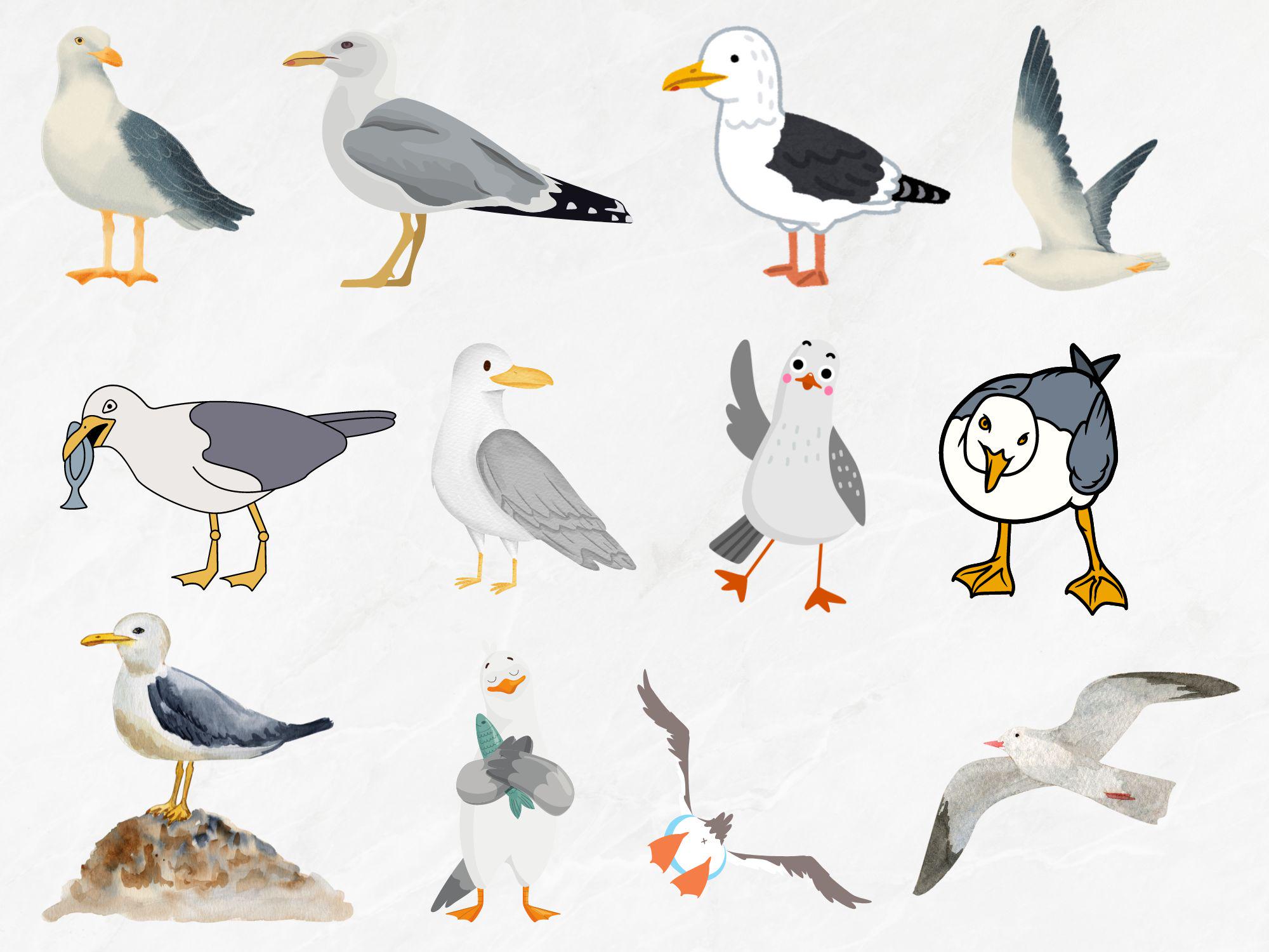 Seagull SVG Bundle, Seagull PNG Bundle, Seagull Clipart, Seagull ...