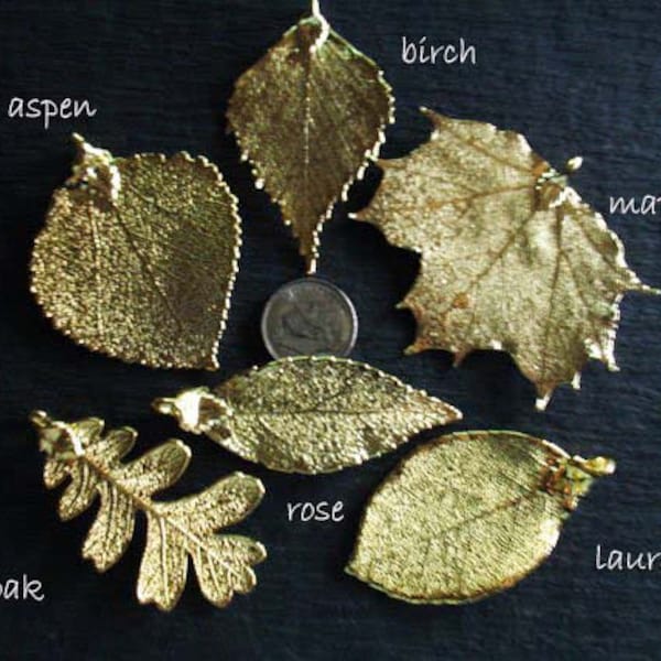 Real Maple Leaf - Etsy