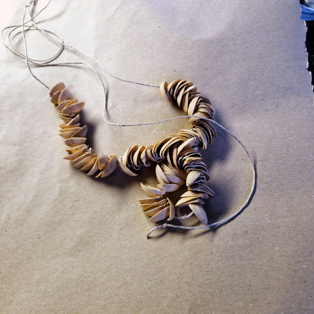 Pistachio Shell With Holes for Making DIY Jewelry. Eco-friendly Supply ...