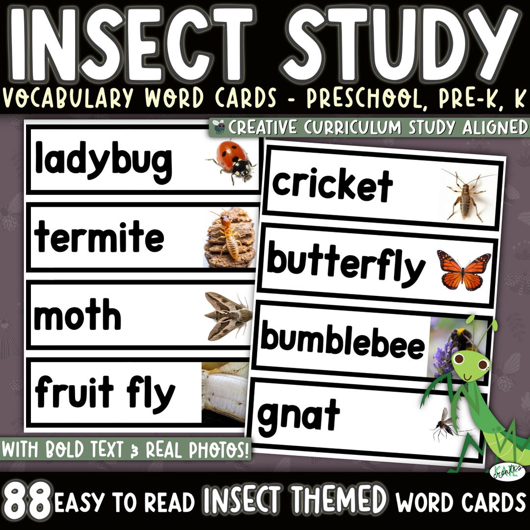 Insect Vocabulary Cards | Real Photo Science Word Wall (digital PDF) - Etsy