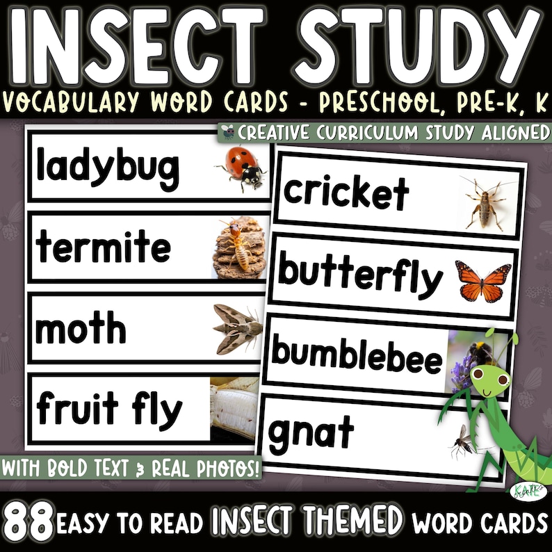 Insect Vocabulary Cards | Real Photo Science Word Wall (digital PDF) - Etsy