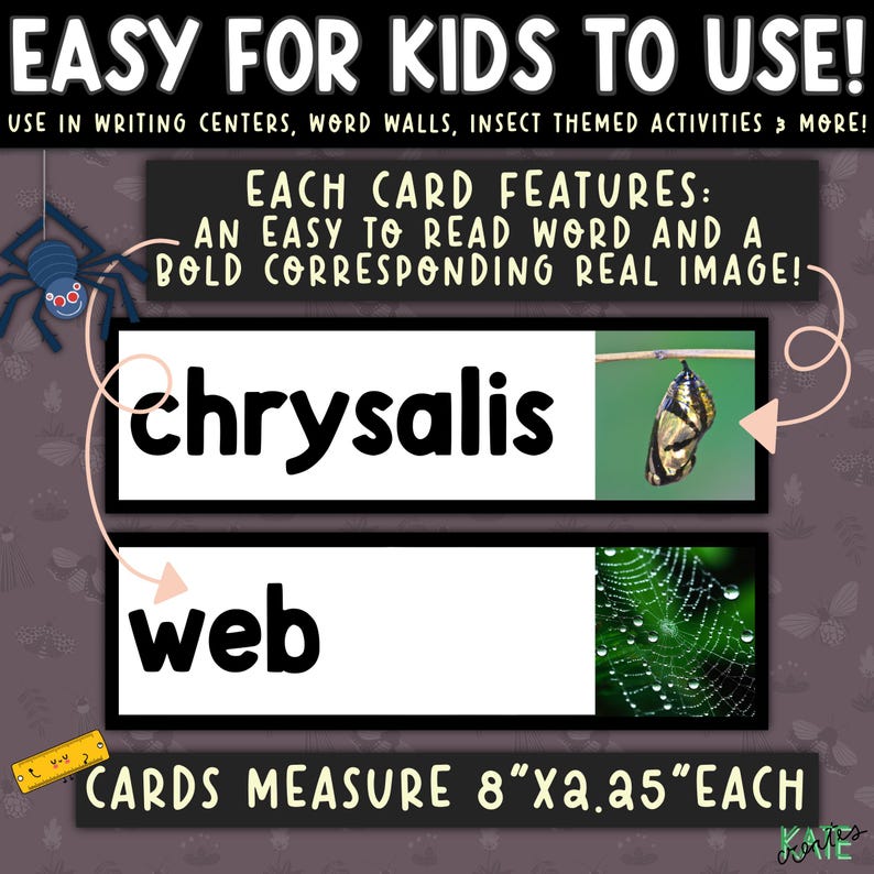 Insect Study Vocabulary Cards | Real Photo Science Word Wall | Prek ...