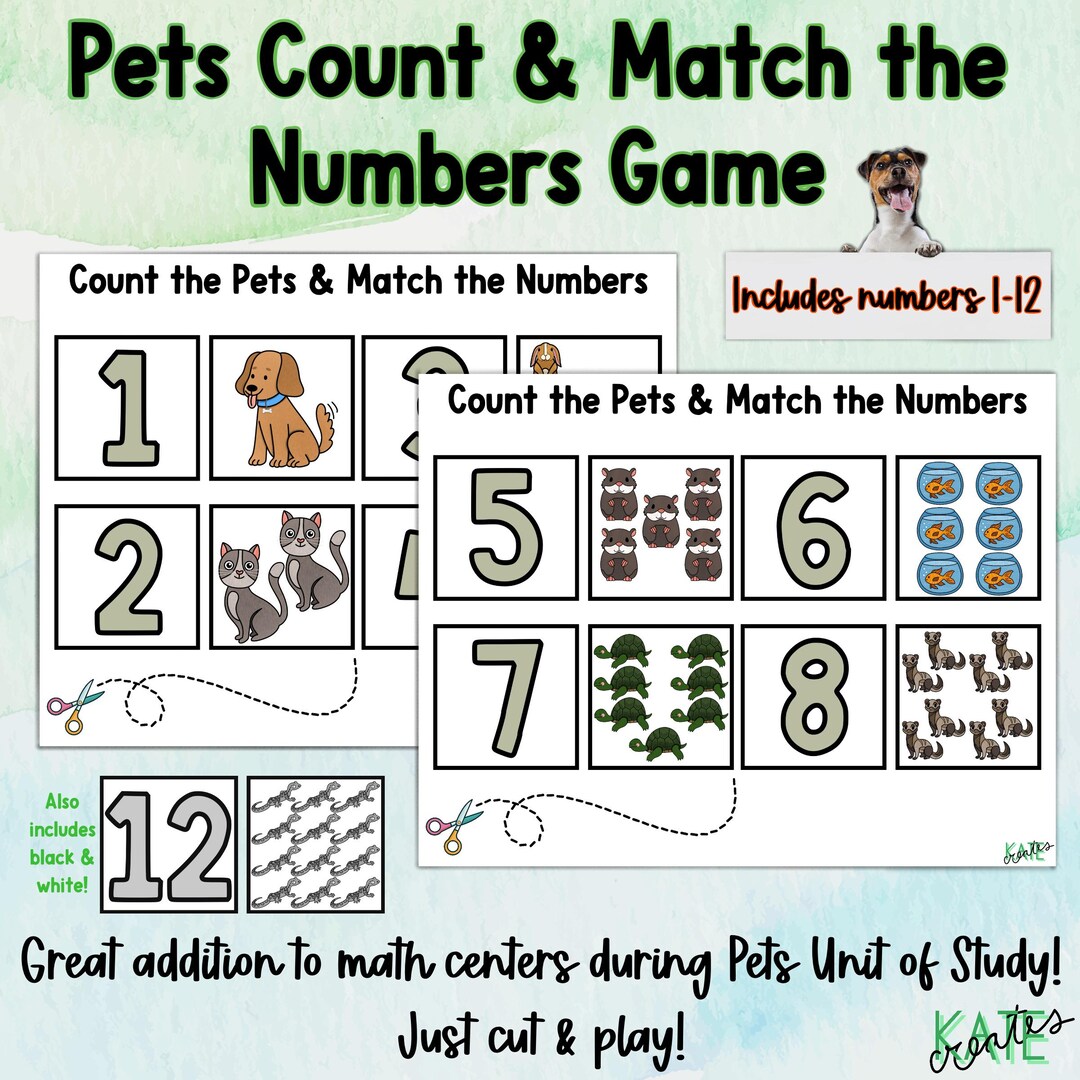 Pet Study Number Matching Game, One to One Correspondence, Prek Math ...
