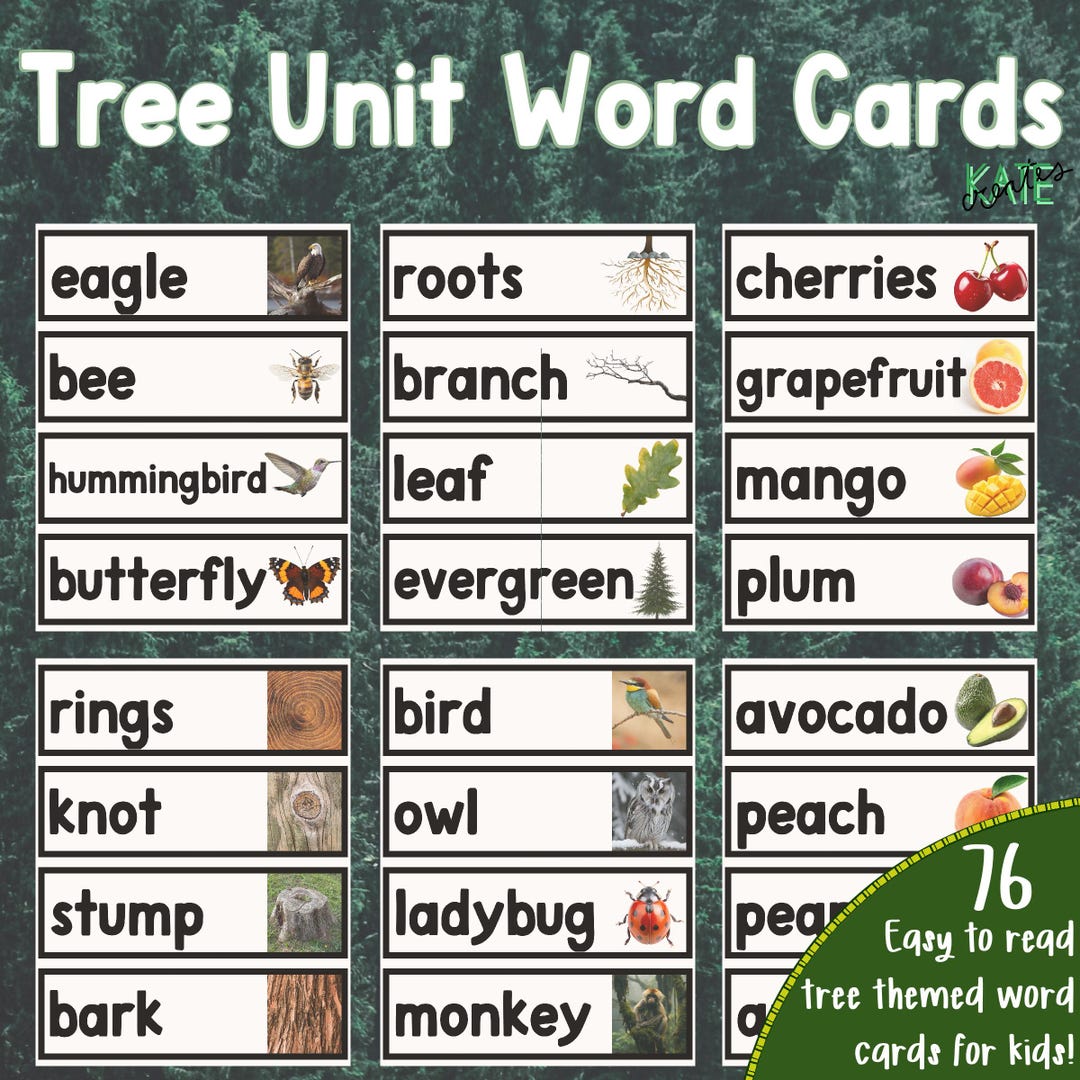 Tree Word Cards for Kids, Word Wall for Preschool or Kindergarten ...