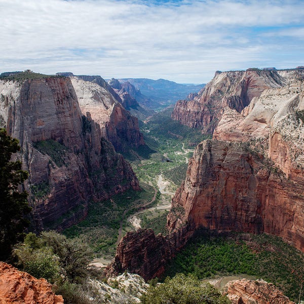 Zion National Park Observation Point - Etsy