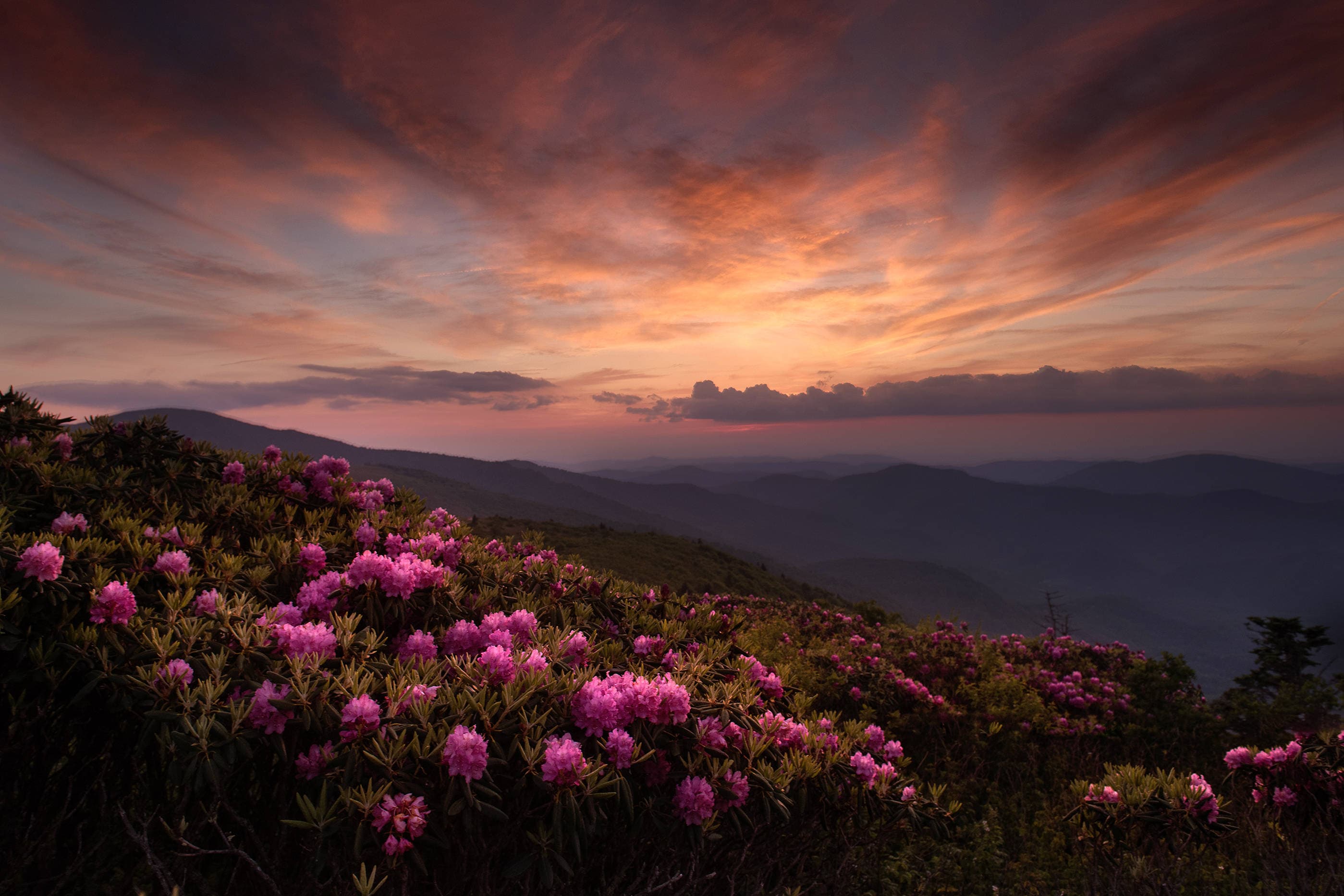 Pink Sunset - Mountain Sunset - Blue Ridge Mountains, Roan Mountain ...