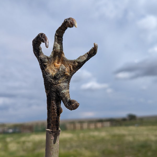 Back Scratcher - Etsy Canada