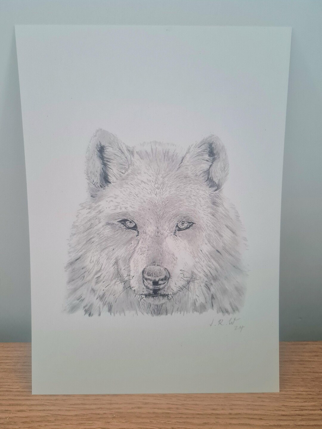 Arctic Wolf A5 Pencil Print - Etsy