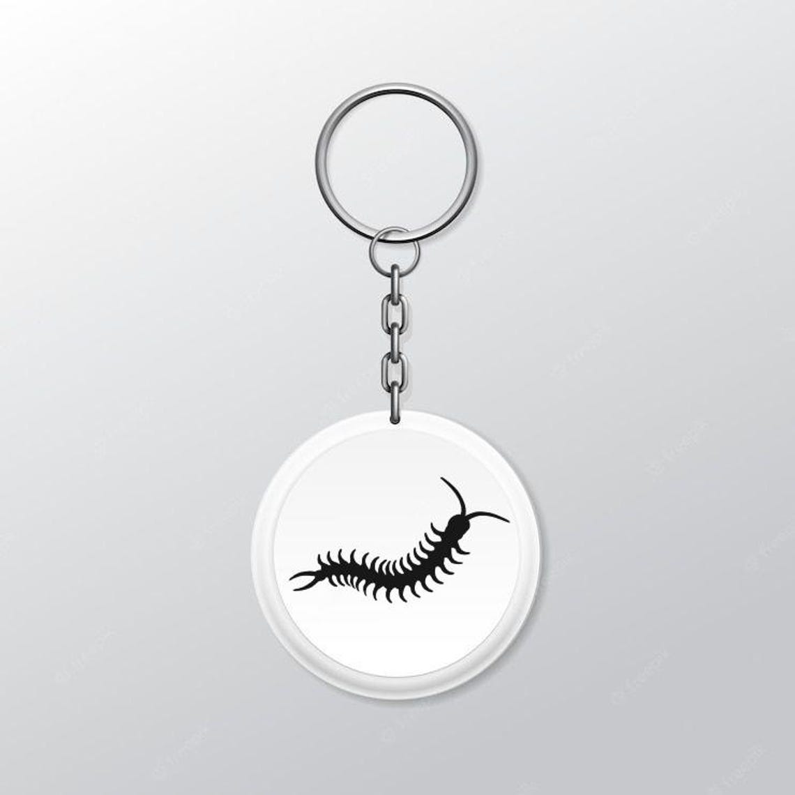 Centipede Vector Graphic, Insect Cut File (svg, Png, Jpg, Pdf) - Etsy