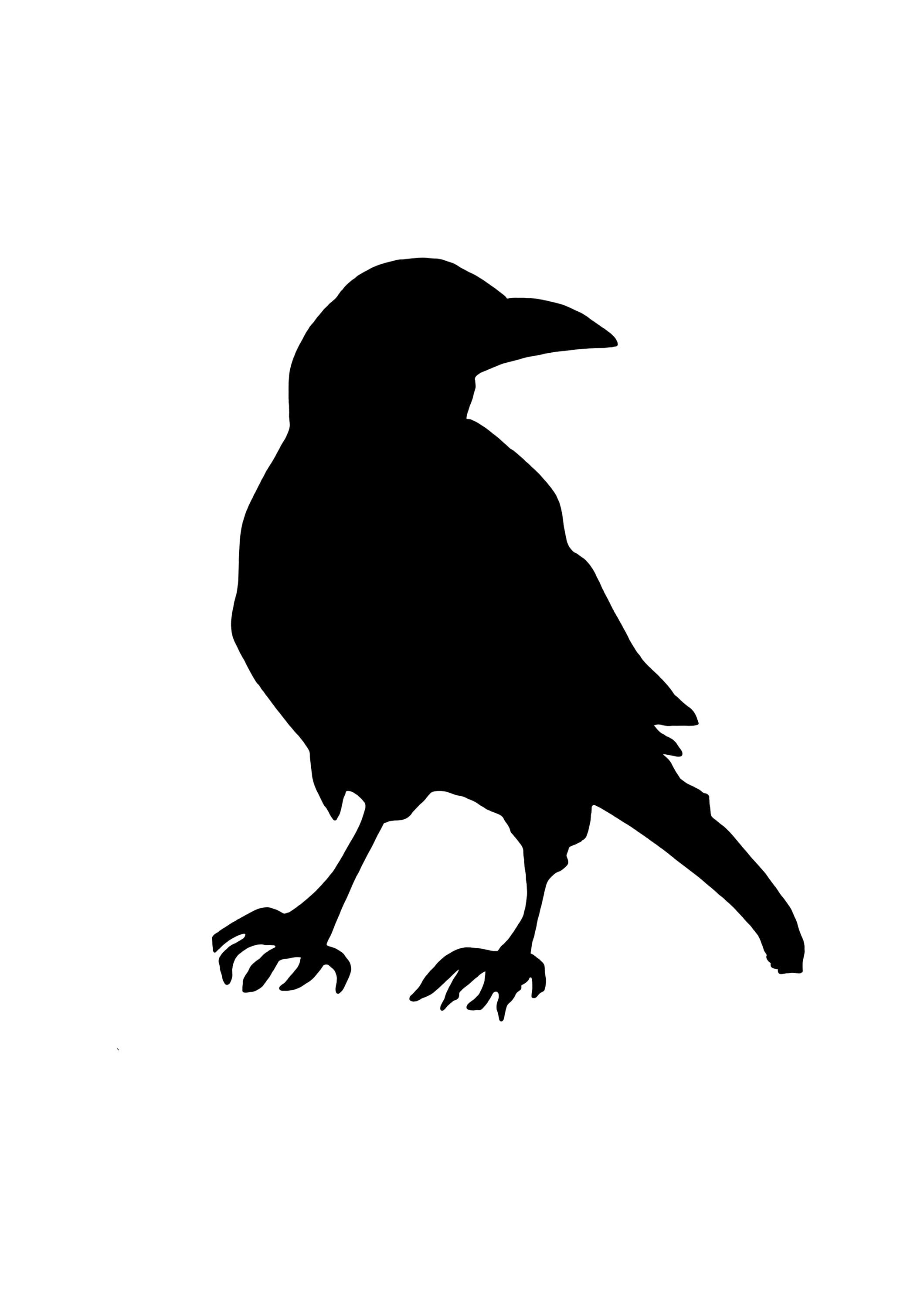 Crow Svg, Png, Jpg, Pdf, Files for Cricut, Raven, Crow Clipart, Crow ...