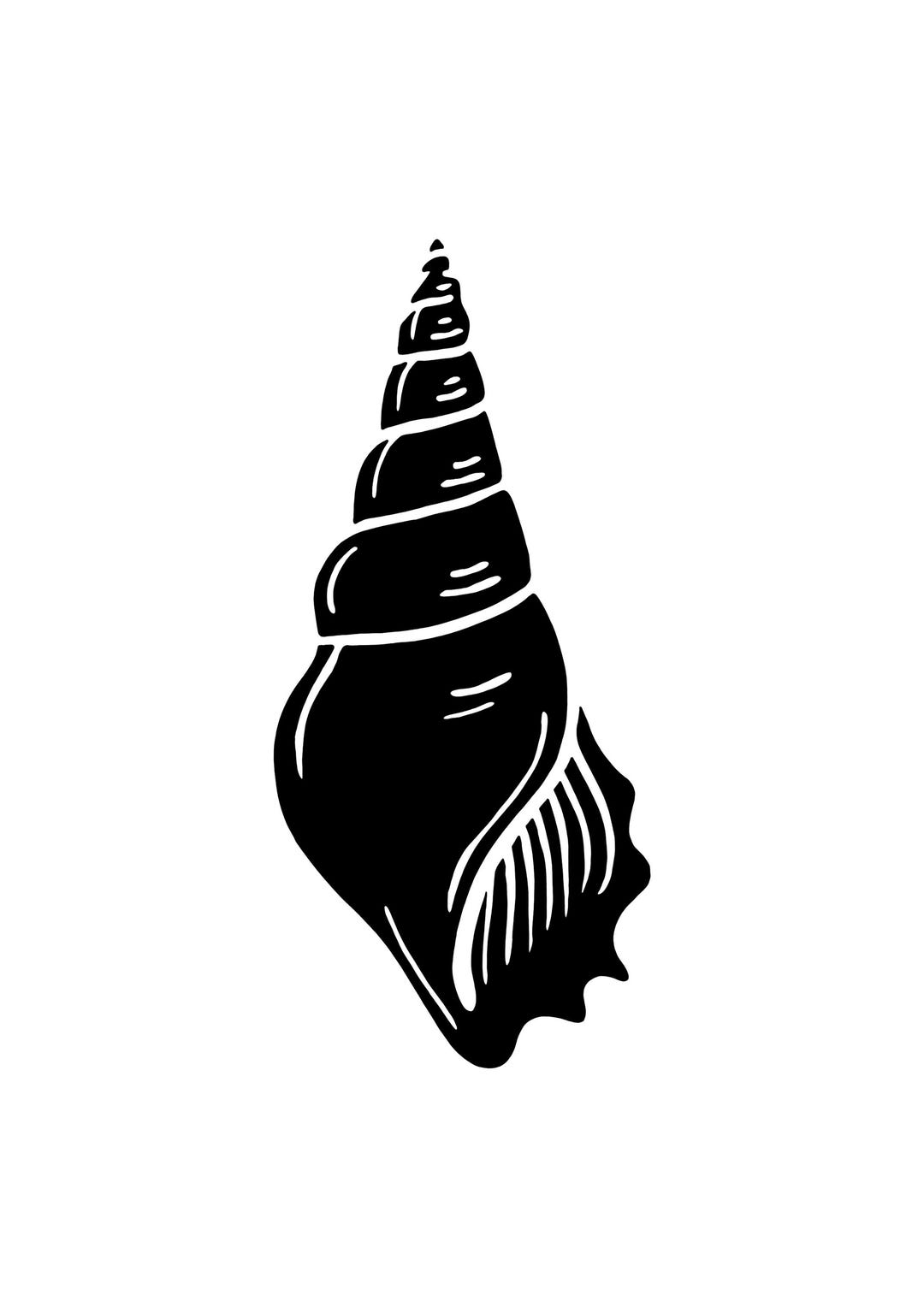 Conch Shell Svg, Png, Jpg, Pdf, Shell, Seashell Clipart, Conch Shell ...