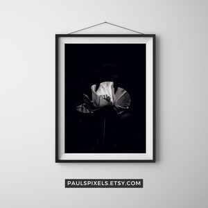 Monochrome Poppy Printable | Black White Poppy Digital Download ...