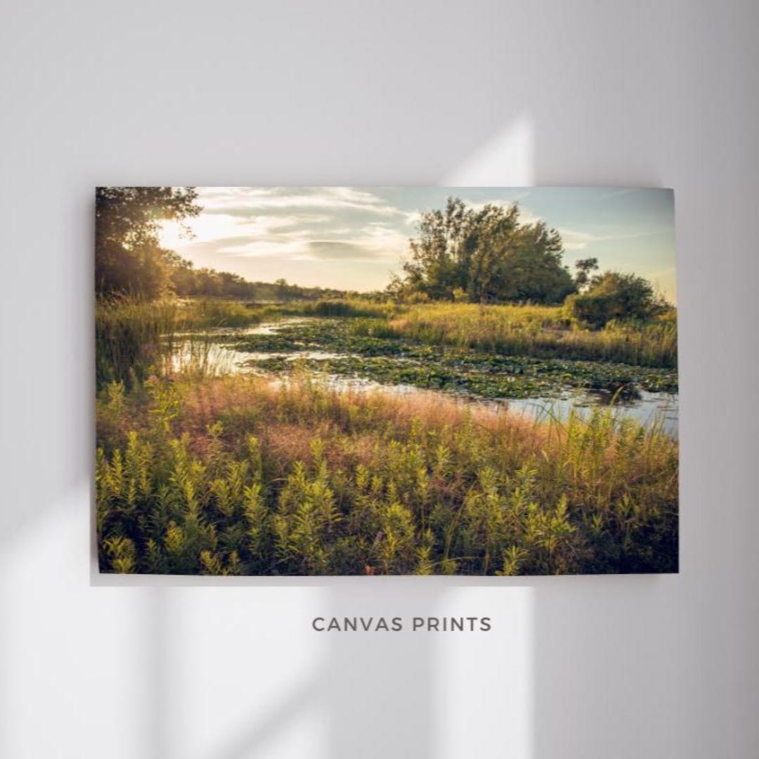 Marsh Sunset Canvas Print | Wetlands Wall Art | Evening Marsh ...