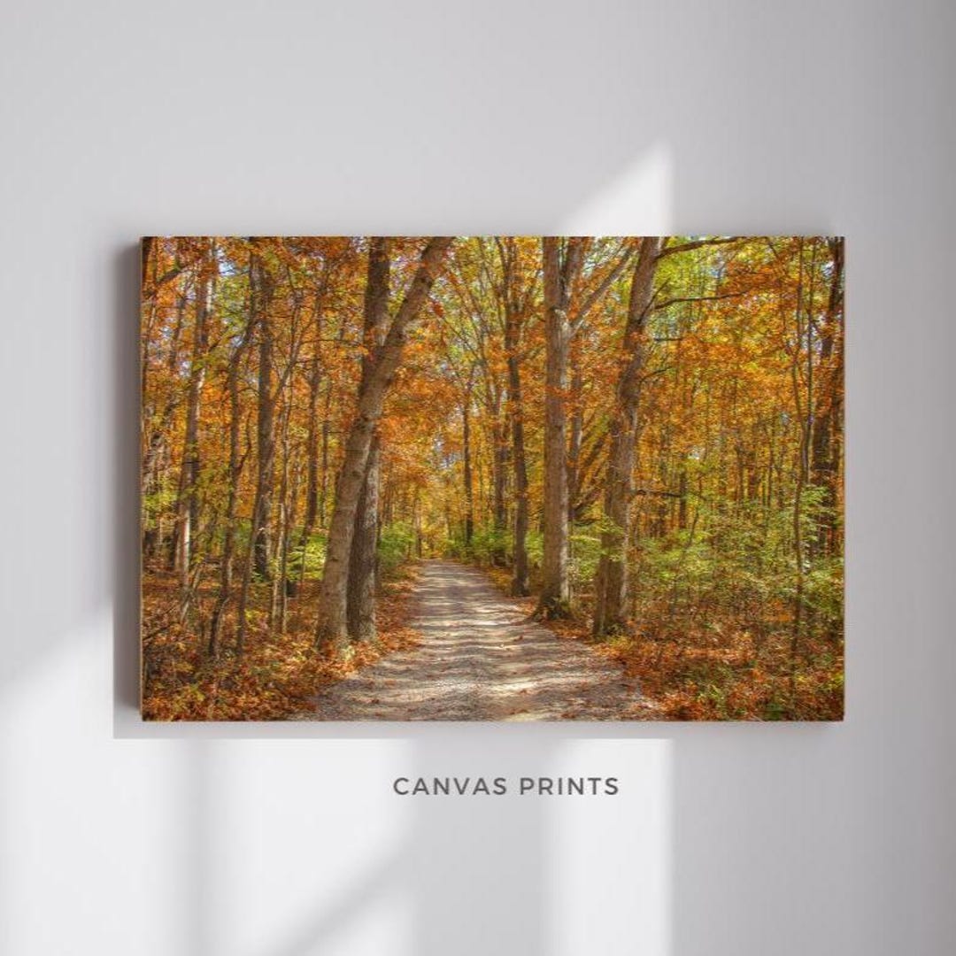 Autumn Path Canvas Print: Cozy Fall Nature Photography Wall Art ...