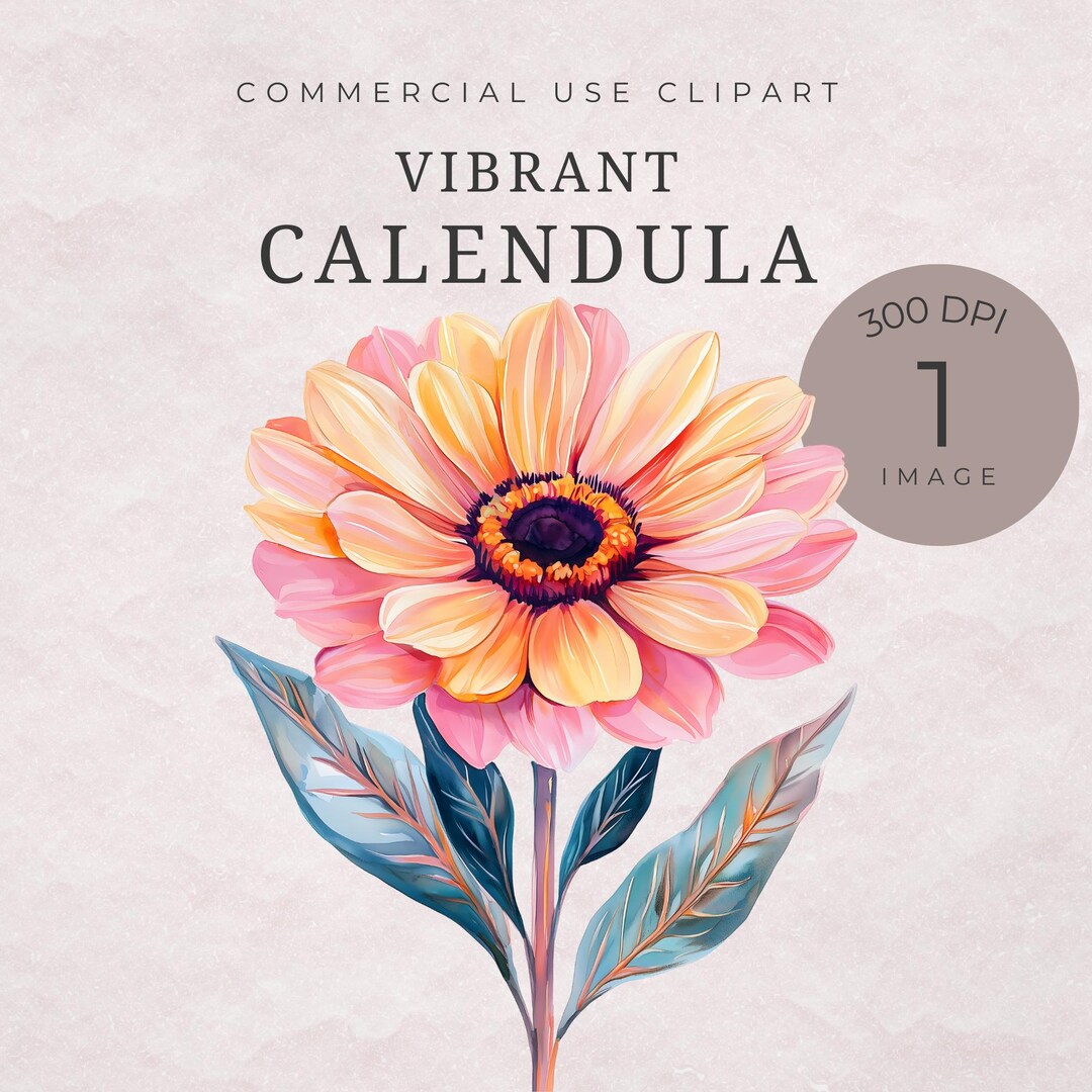 Calendula Clipart PNG, Watercolor Pastel Floral PNG, Floral Crafting ...