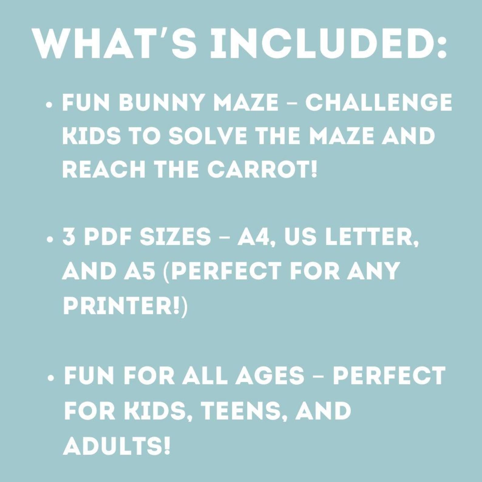 Easter Bunny Maze: Fun Printable Game for Kids (digital Download) - Etsy