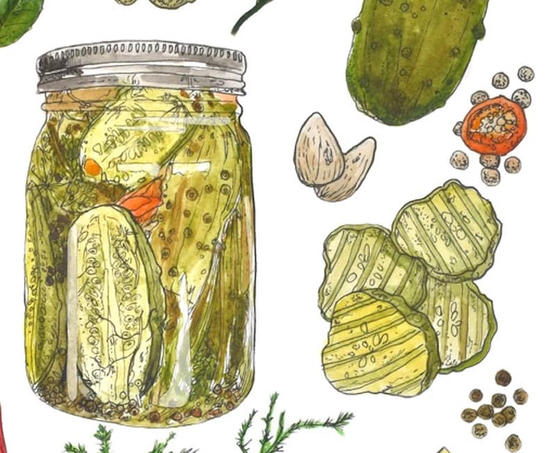 Pickles Art Print - Etsy