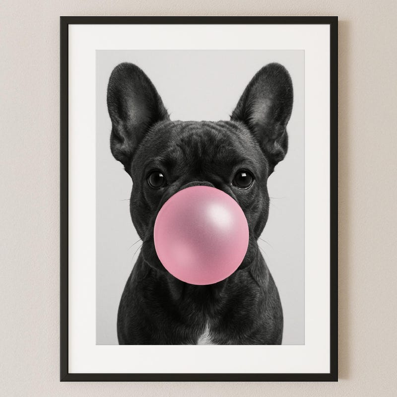 French Bull Dog Pop Art - Etsy