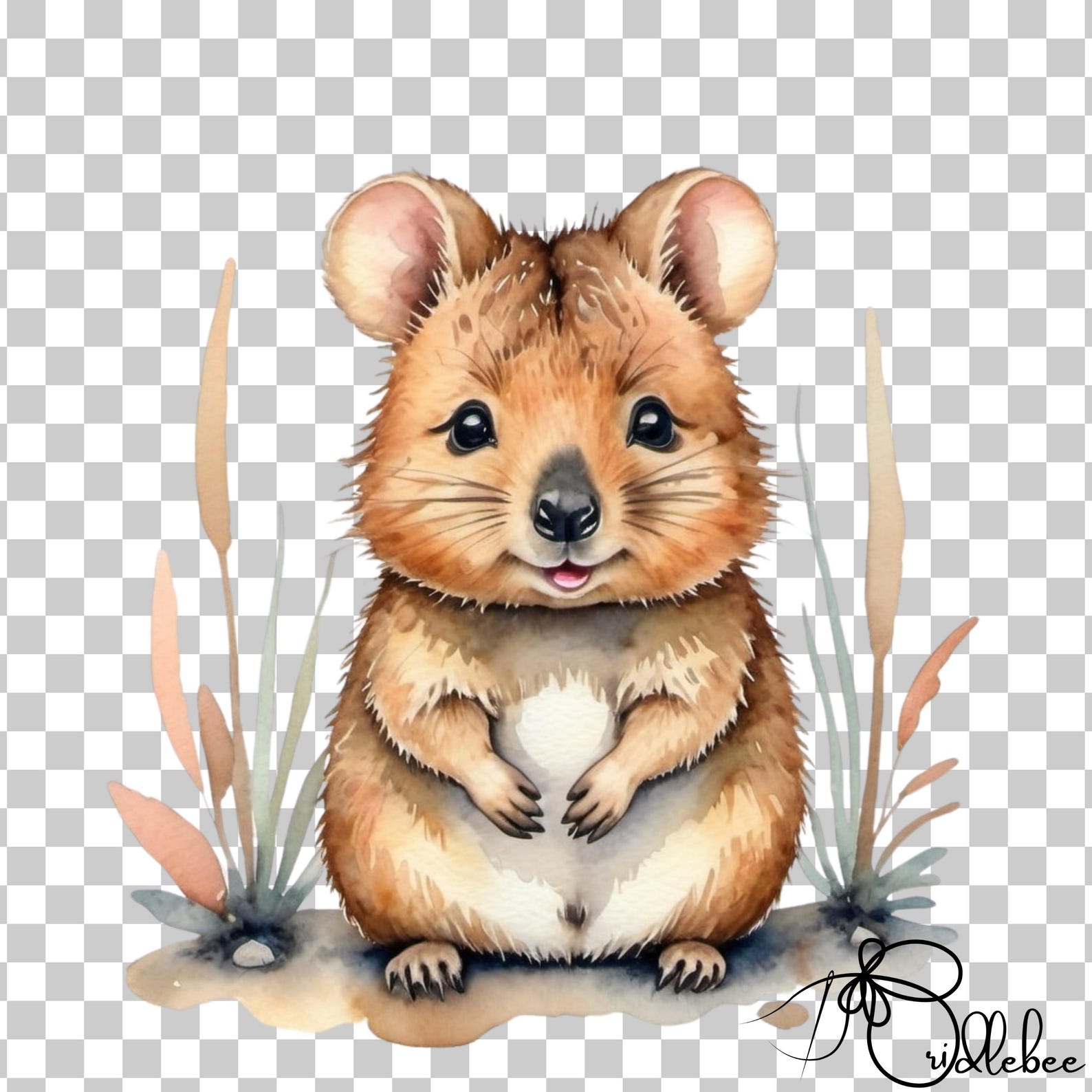 Watercolor Quokka Clipart Bundle | 30 Cute Digital Designs - Etsy