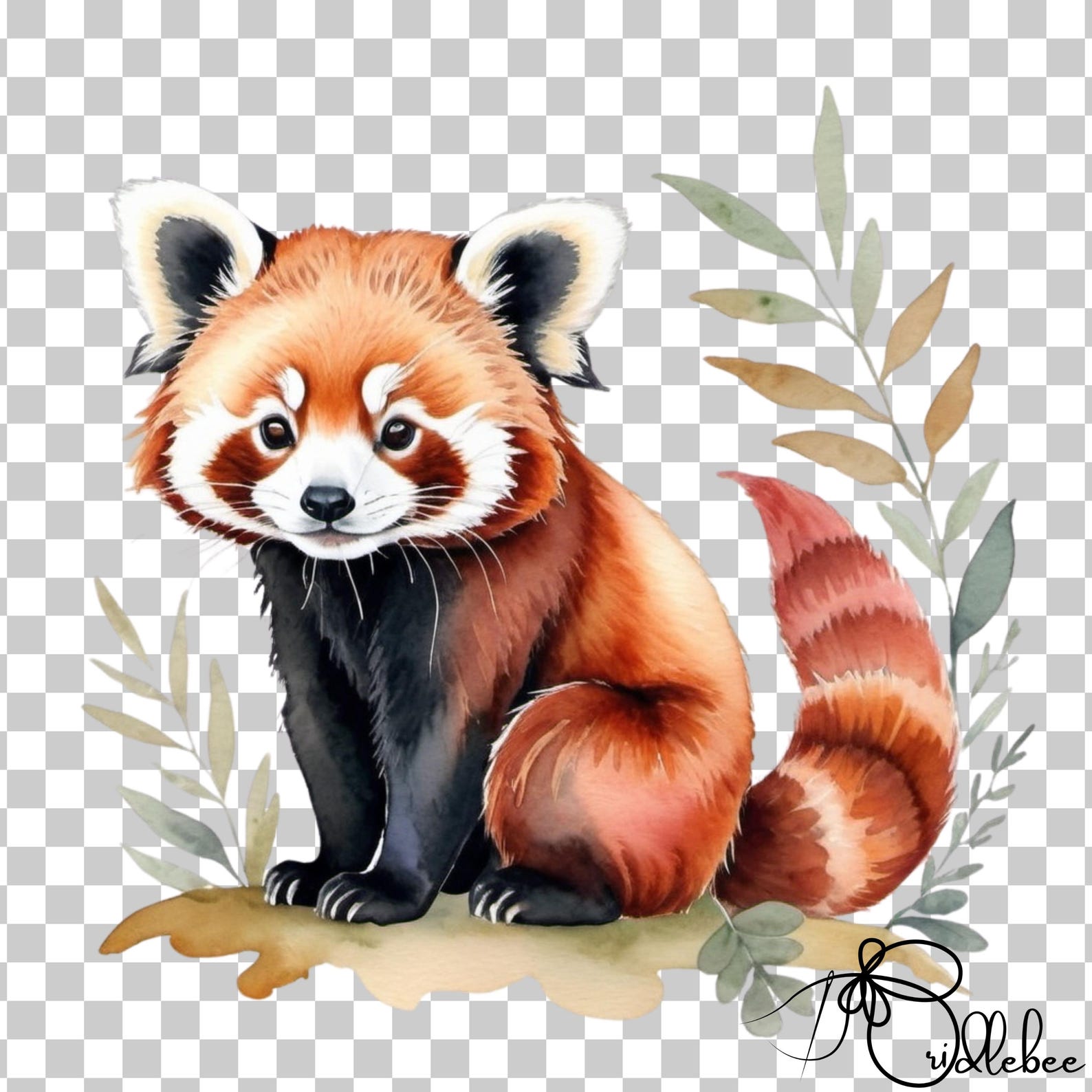 Watercolor Red Panda Clipart Bundle 30 Adorable Digital Designs - Etsy