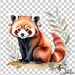 Watercolor Red Panda Clipart Bundle | 30 Adorable Digital Designs - Etsy