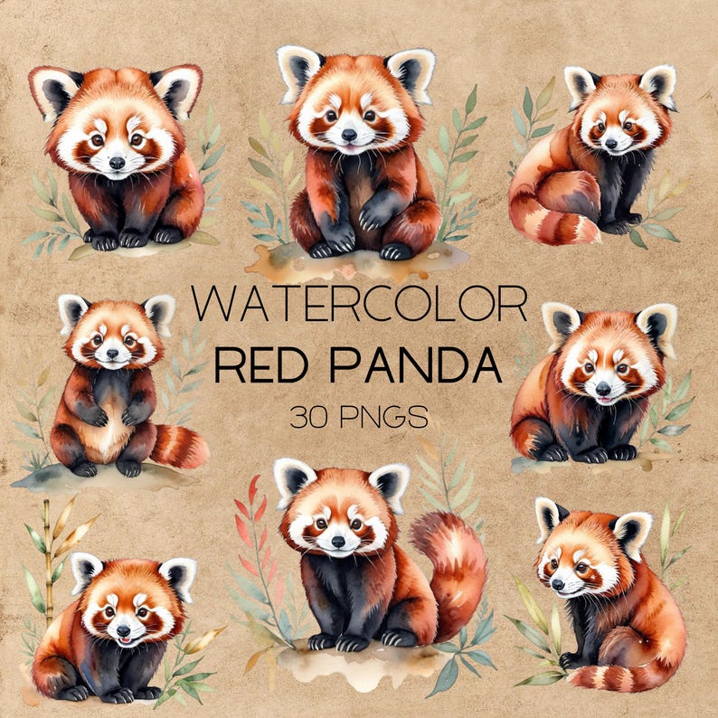 Watercolor Red Panda Clipart Bundle 30 Adorable Digital Designs - Etsy