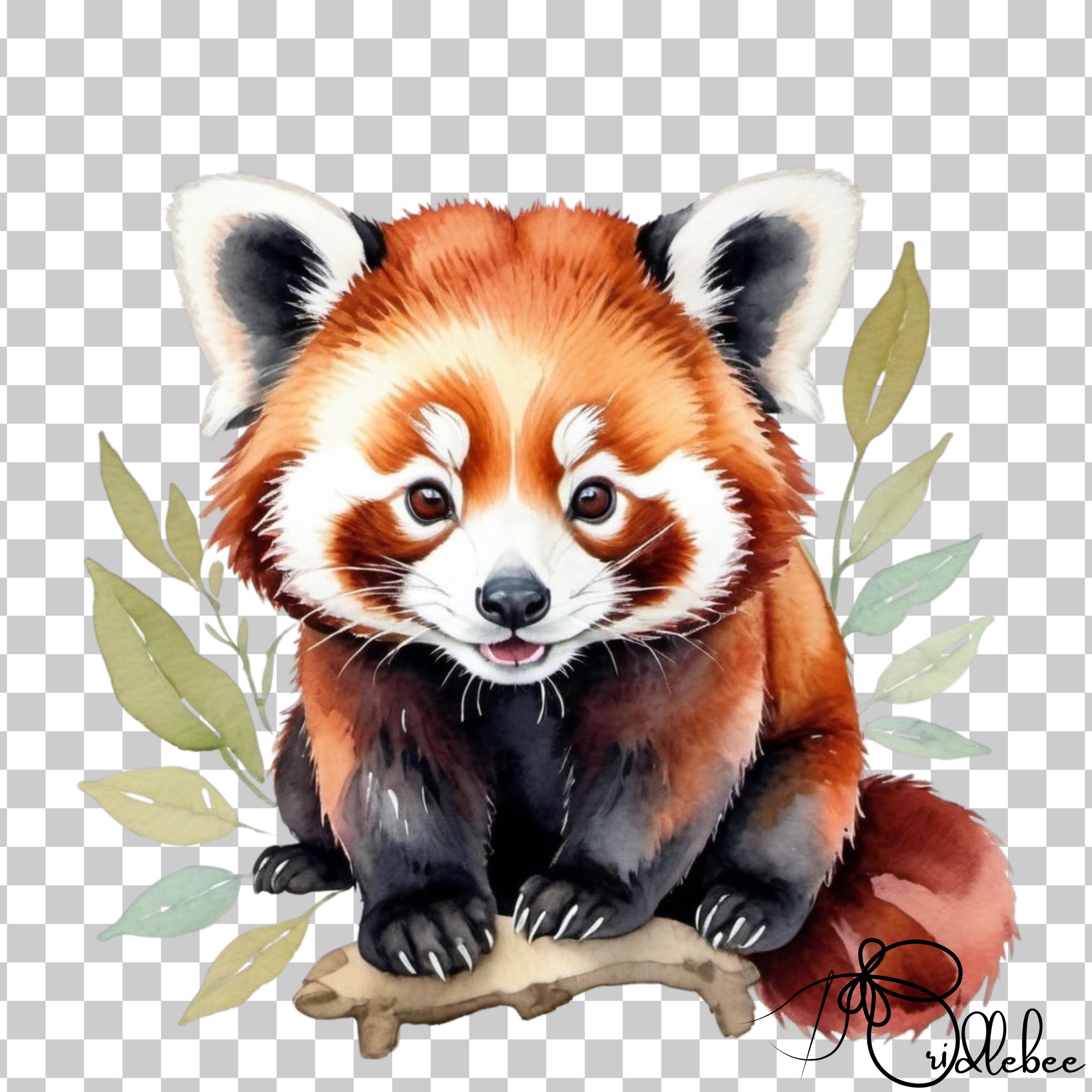 Watercolor Red Panda Clipart Bundle | 30 Adorable Digital Designs - Etsy
