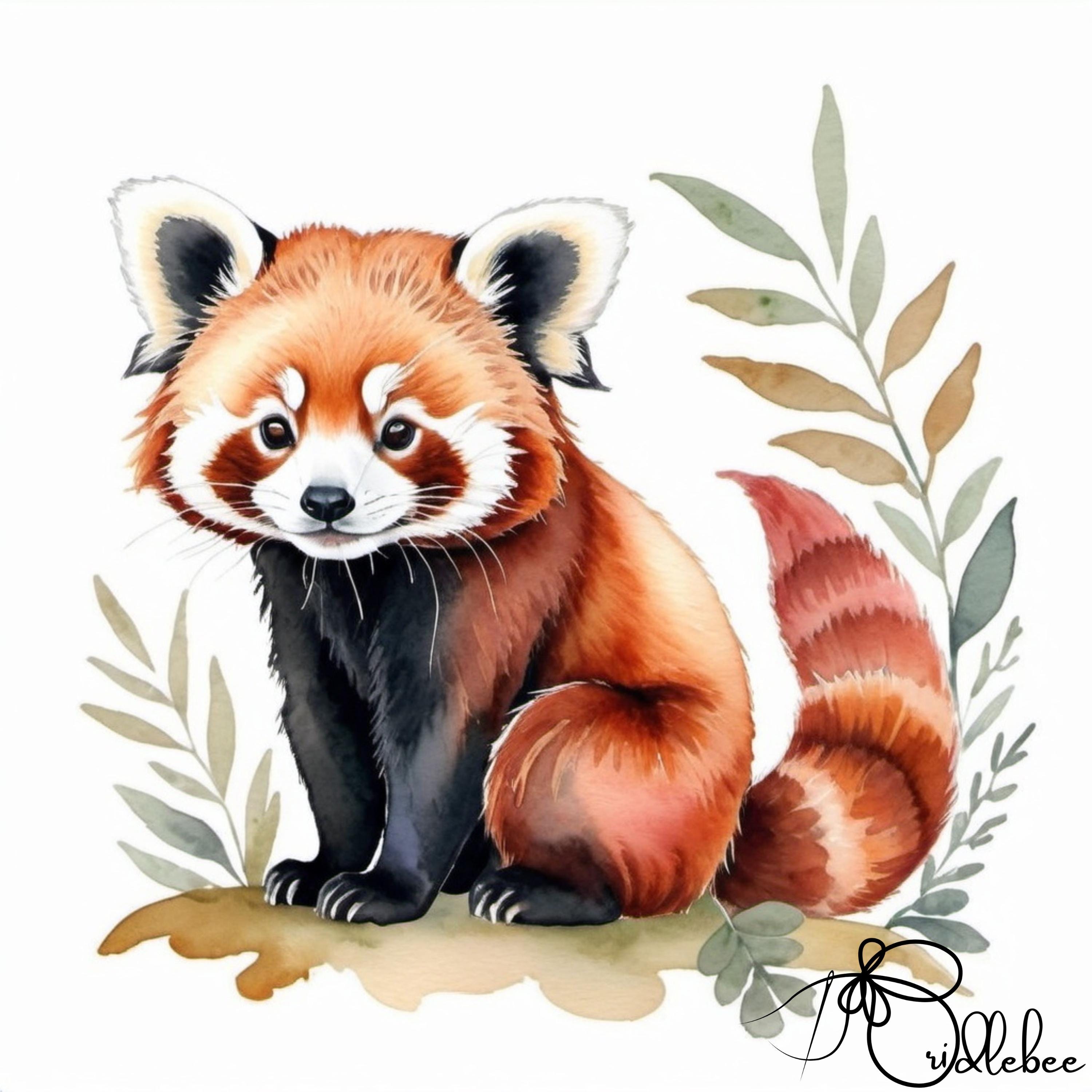 Watercolor Red Panda Clipart Bundle 30 Adorable Digital Designs - Etsy