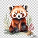 Watercolor Red Panda Clipart Bundle | 30 Adorable Digital Designs - Etsy