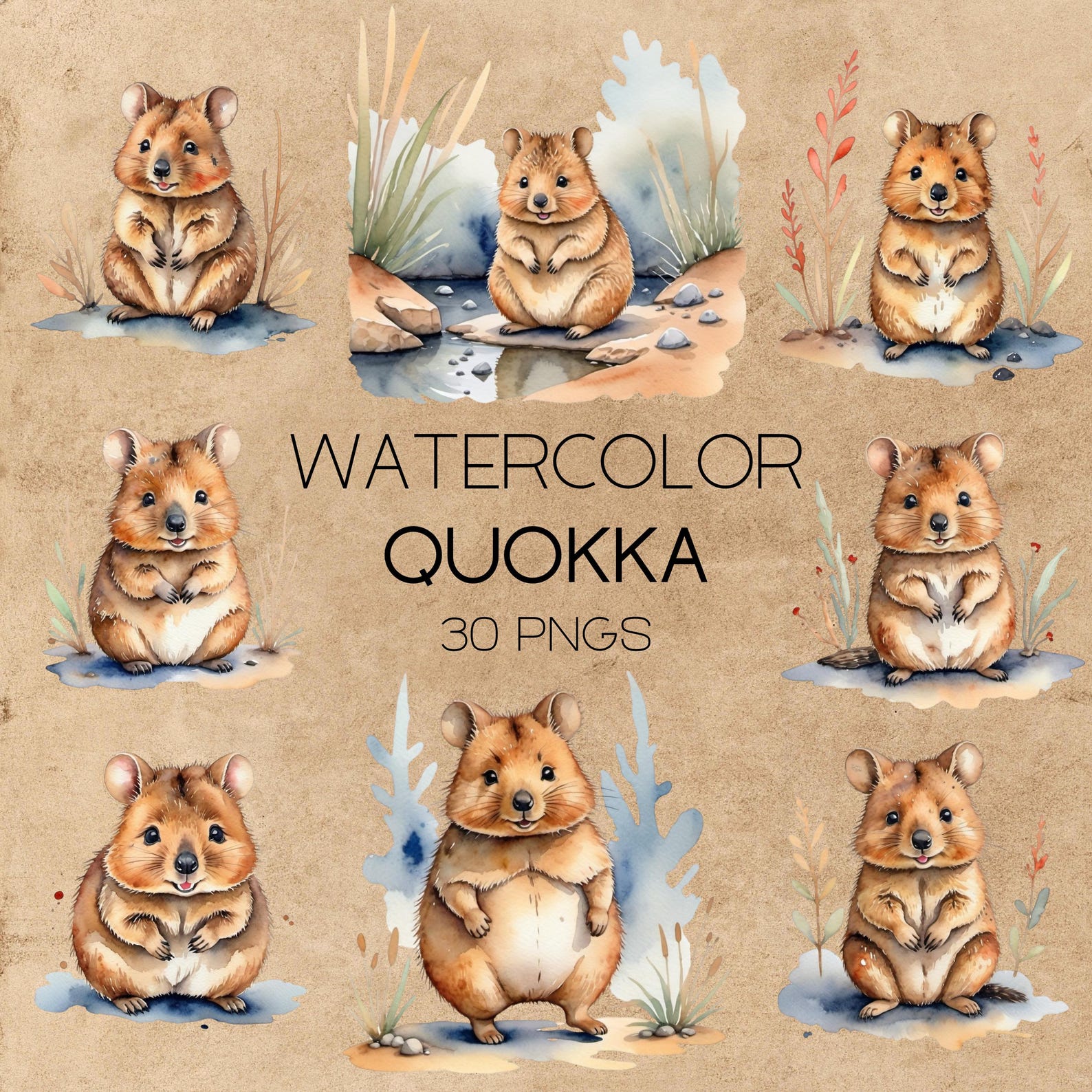 Watercolor Quokka Clipart Bundle | 30 Cute Digital Designs - Etsy