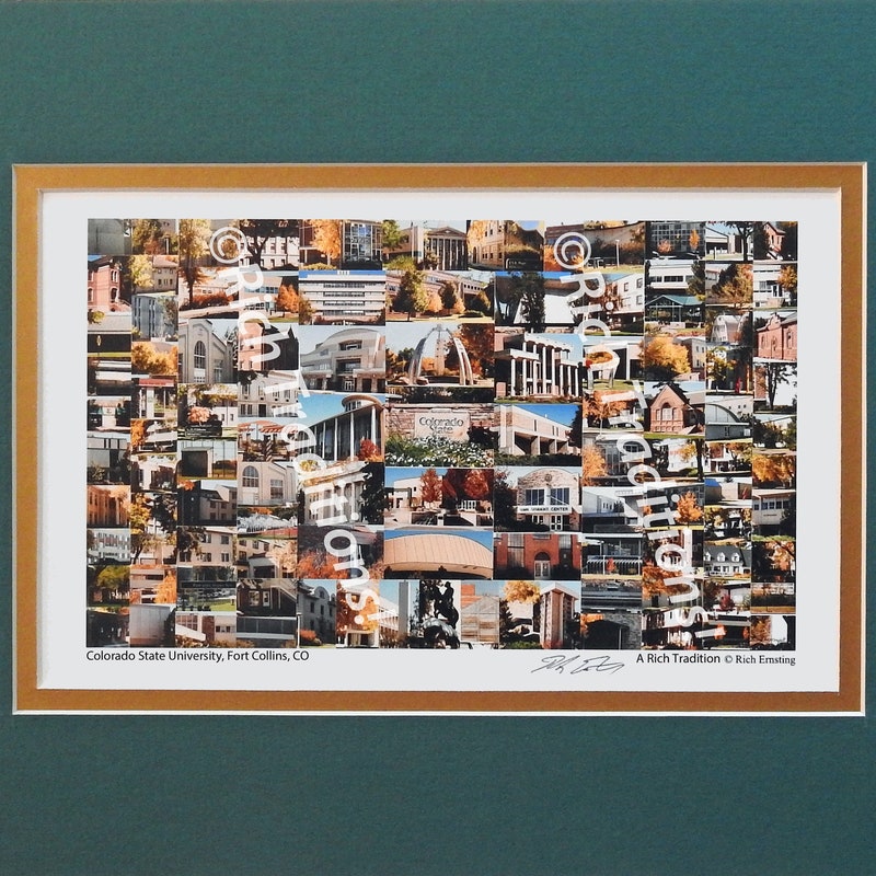 Colorado State University - Etsy