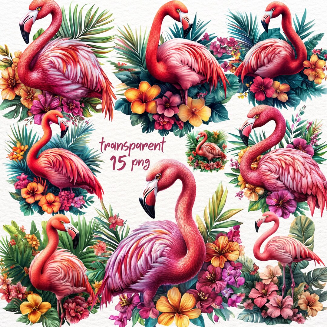 15 Summer Flamingo Clipart PNG Bundle, Digital Graphic, Beach ...